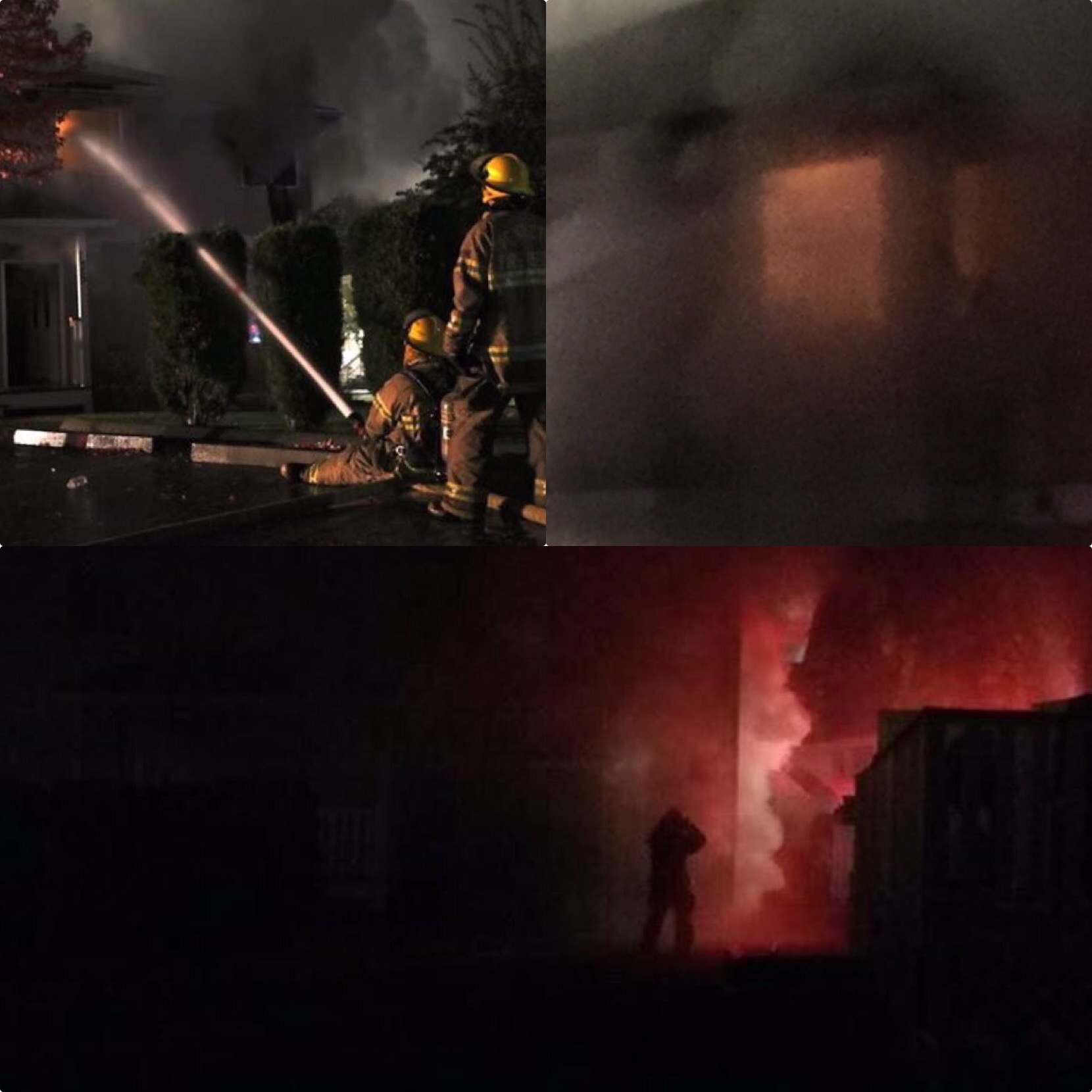 Programming Zen Will Be On A Hiatus Due To Tragic Circumstances